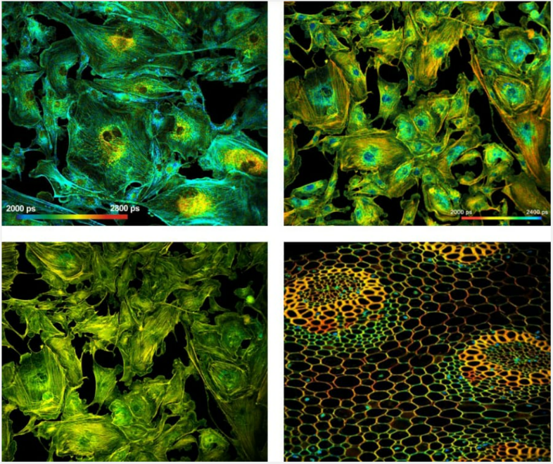 波士顿电子在Time Correlated Single Photon Counting（TCSPC）技术的原理、优势以及应用 - 河北镭族 ...